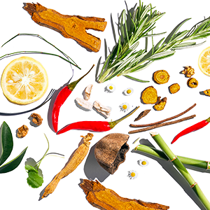 Skin therapy | multi-perfecting night serum | Erborian UK